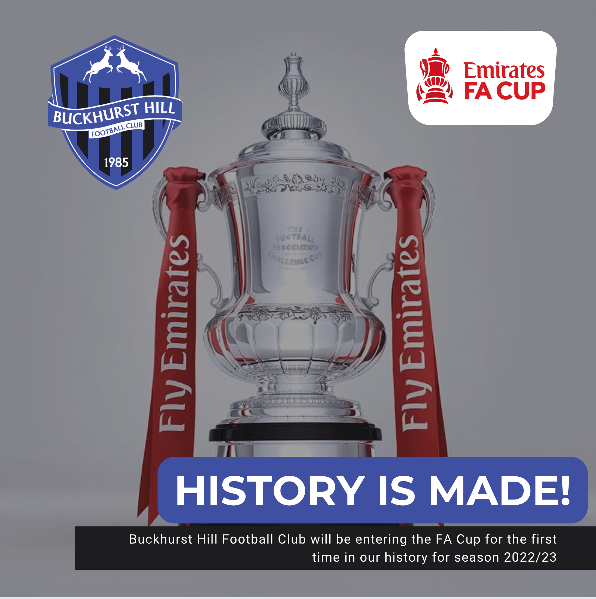 FA Cup debut: History will be made! – BHFC