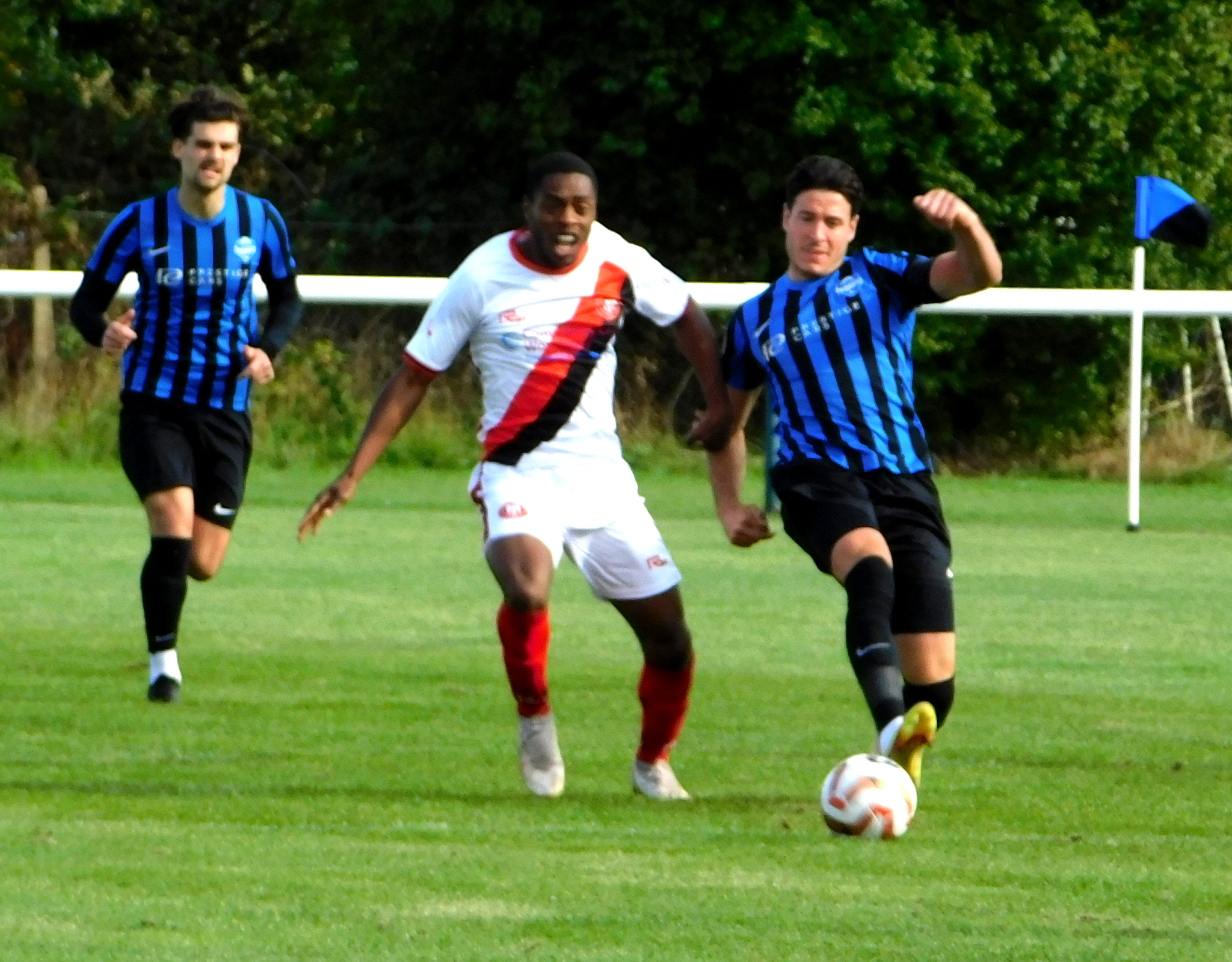 The Stags in 7th Heaven! – BHFC