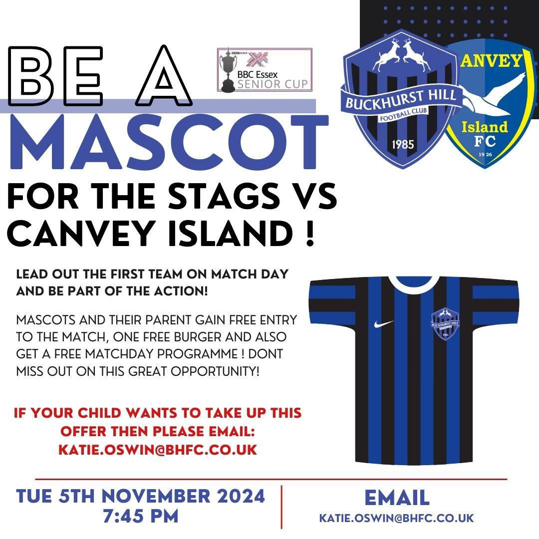 Buckhurst Hill FC – The home of The Stags